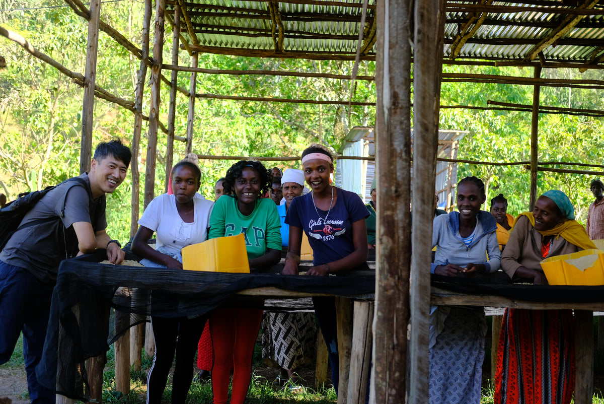 Ethiopia・Bensa Logita – RIO COFFEE